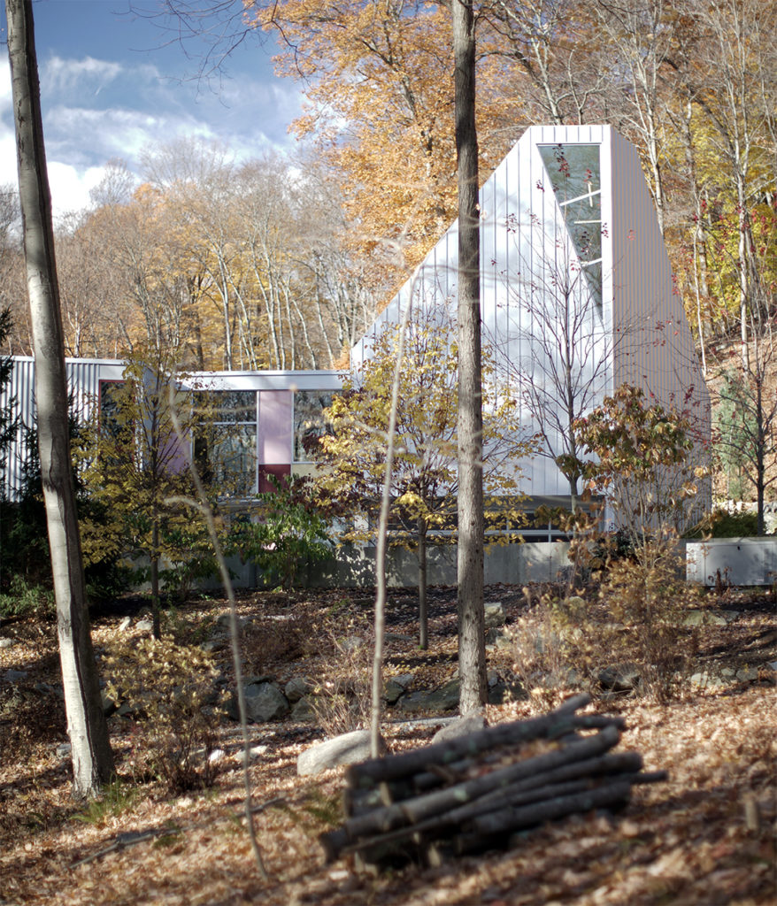 M/M House & Studio – Stan Allen Architect