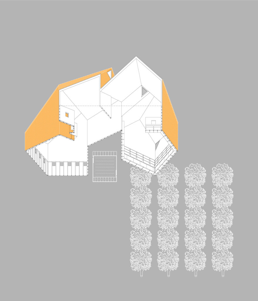 Lyceum – Stan Allen Architect