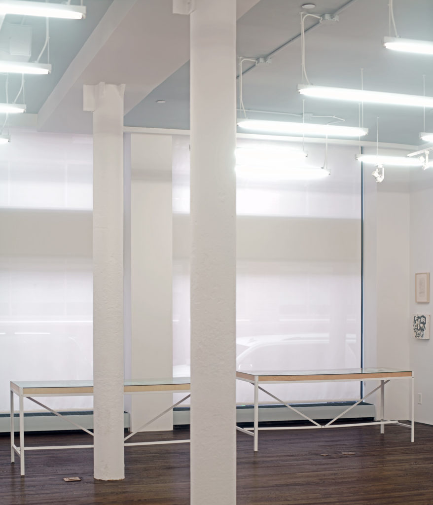 White Columns Gallery – Stan Allen Architect