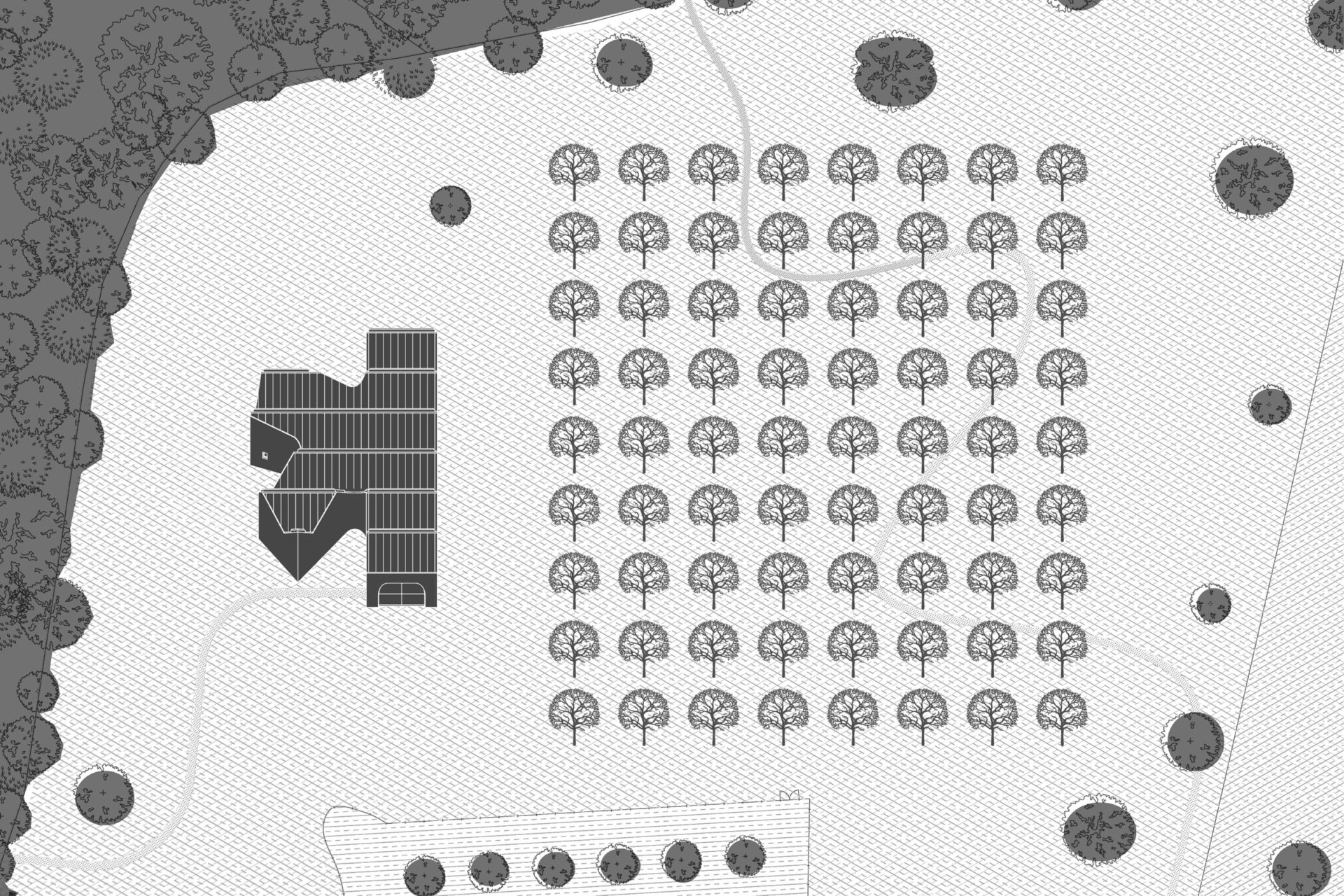 Practice – Stan Allen Architect